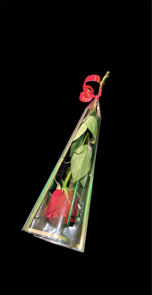 £5 Individually Wrapped Red Roses (Minimum of 10) – The Flower Pot ...