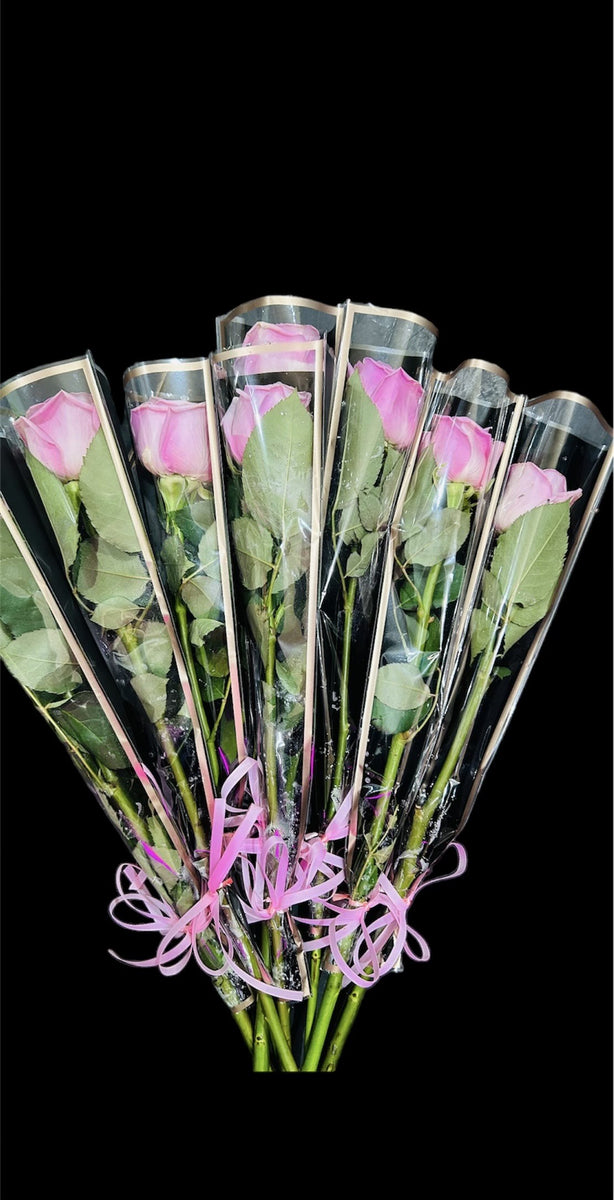 £5 Individually Wrapped Blush Roses (Minimum of 10) – The Flower Pot ...